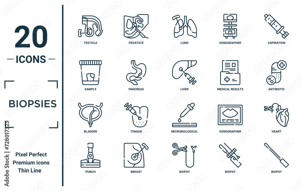 biopsies linear icon set. includes thin line testicle, sample, bladder ...