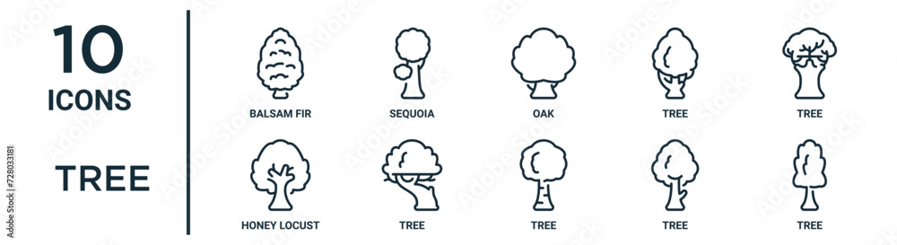 tree outline icon set such as thin line balsam fir, oak, tree, tree ...