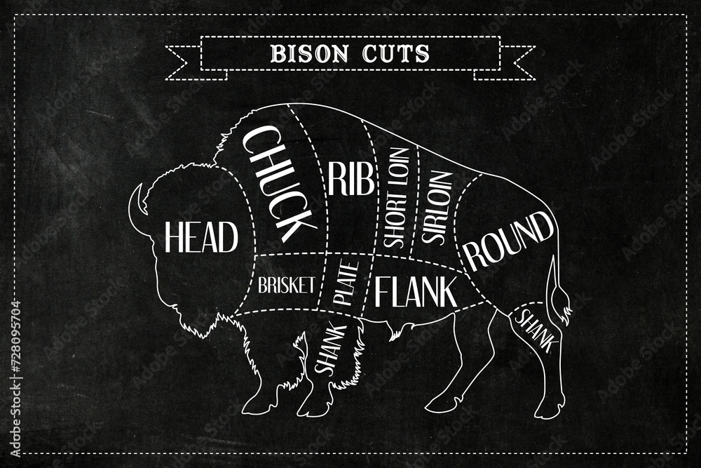 Cuts of Bison. Butcher Diagram, scheme, chart. Stock-Illustration ...