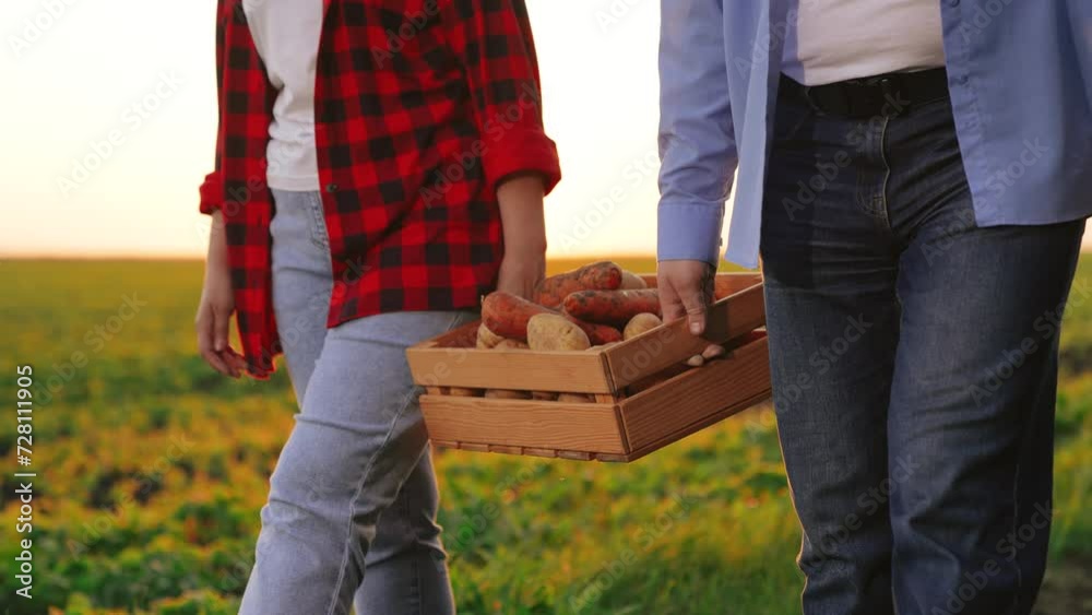 Vidéo Stock two farmers carrying box potatoes across field. Agriculture ...