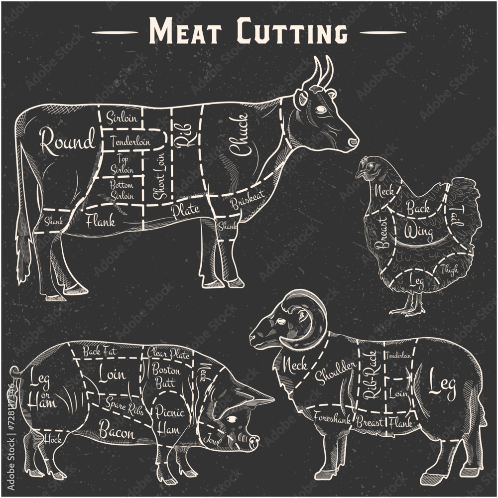 Animal meat cutting diagrams. Farm meat of cow, pig, lamb and chicken ...