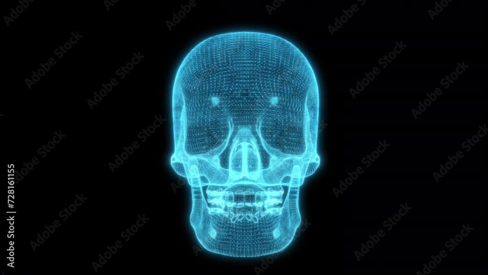 Neon Blue Human Head Skull 4k glowing 3d Hologram Skeleton loop ...