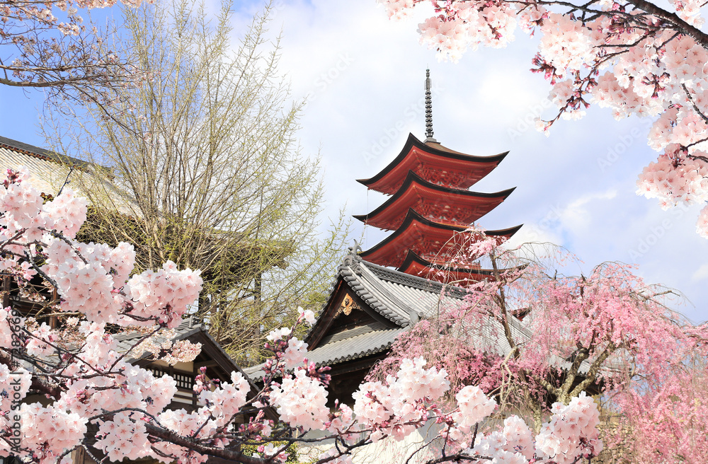 Goju-no-to pagoda (Five storied pagoda), Itsukushima shrine. Sakura ...