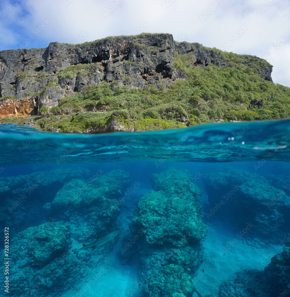 Foto de Coastline with cliff and rocky reef eroded by the swell ...
