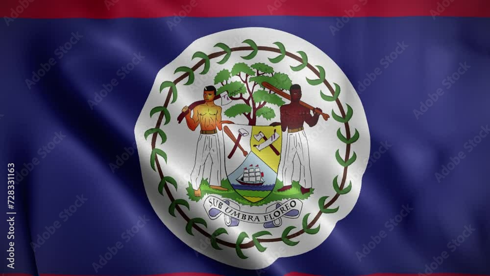 Belize waving flag, Flag of Belize Animation, Belizean Flag Closeup, 4k ...