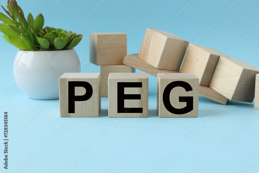 PEG blue background and different wooden blocks and plants in a pot ...