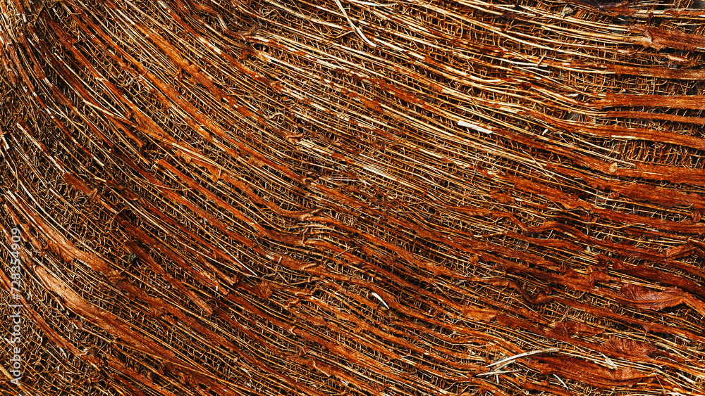 Textured Coconut Coir Close-up. Macro photo banner of coconut coir ...