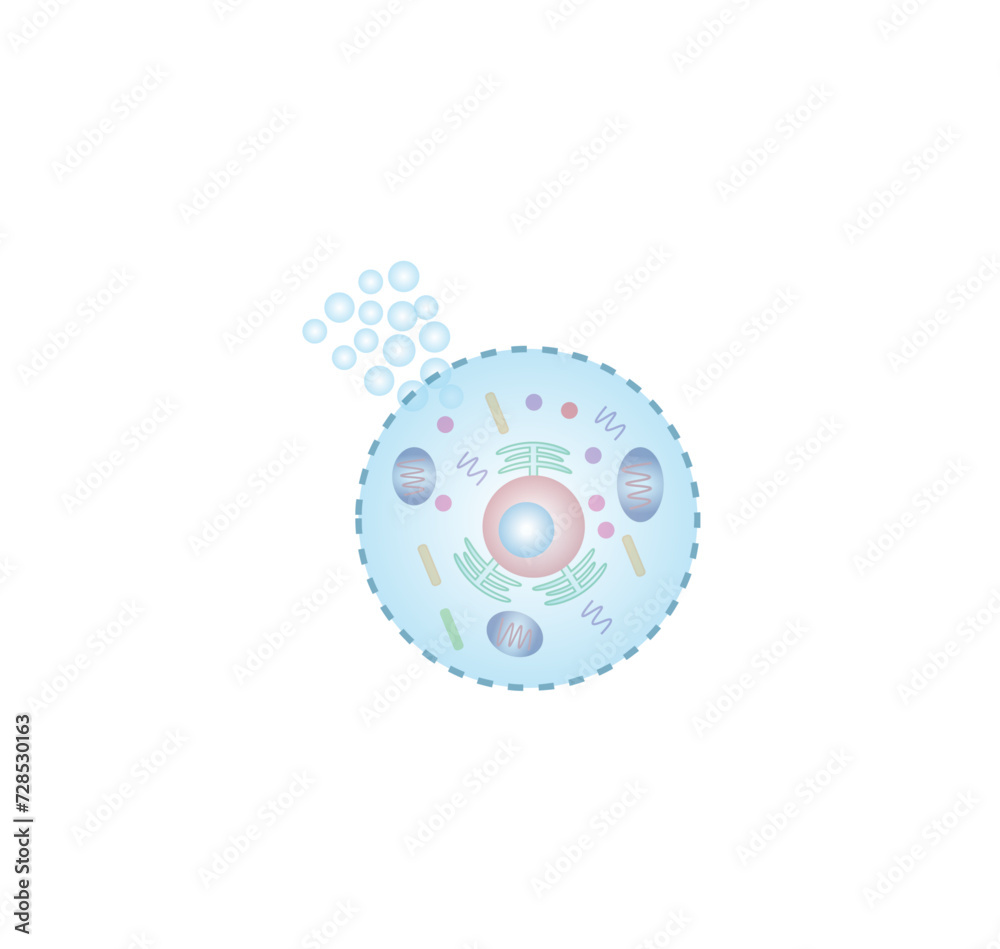 Necrosis, Pathologic Cell Death, Death of the body tissues, Cell injury ...