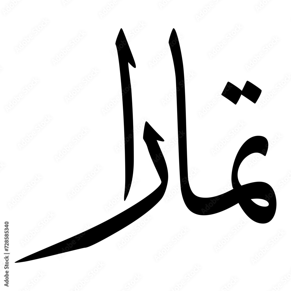 Tamara Muslim Girls Name Sulus Font Arabic Calligraphy Stock Vector ...