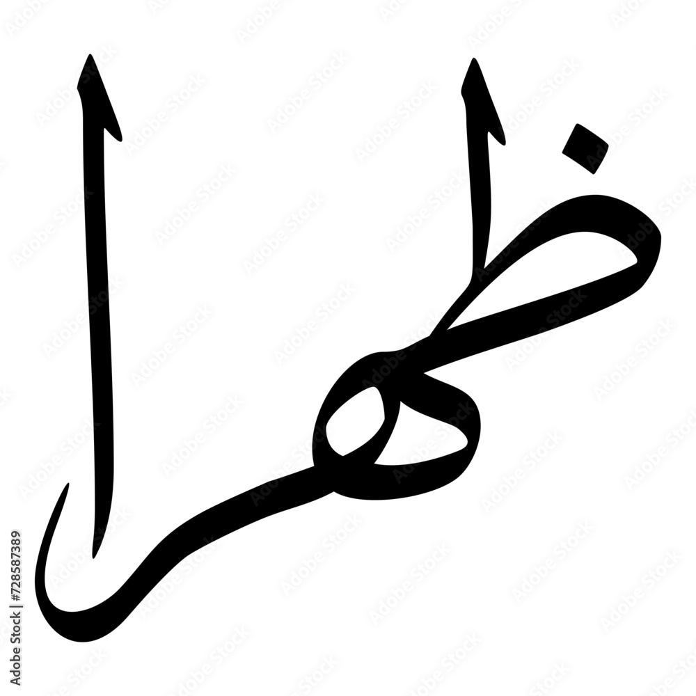 Zahara Muslim Girls Name Sulus Font Arabic Calligraphy Stock Vector ...