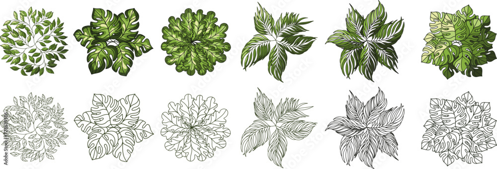 Tree for architectural floor plans. Entourage design. Various trees ...