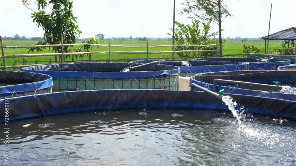 Raising and cultivating fish by using fish ponds made of round or ...