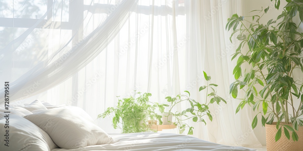 Minimal bedroom with houseplants, white wallpaper, and translucent ...