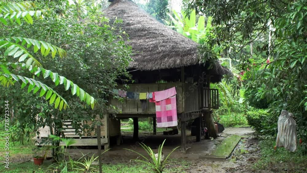 A traditional house of the indigenous people of the Ecuadorian Amazon ...