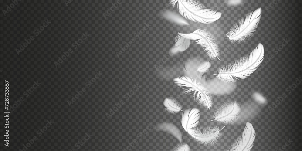 Feathers border column realistic vector illustration. Frame of white ...
