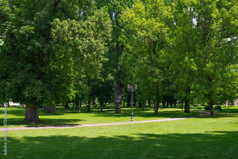 Natural park Károlyi castle in Carei, Romania. Built originally as a ...