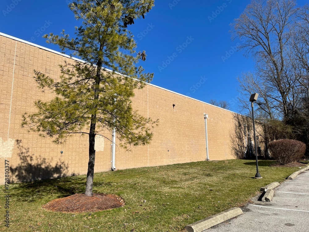 wall, beige building wall with tree, blue sky beige building with tree ...