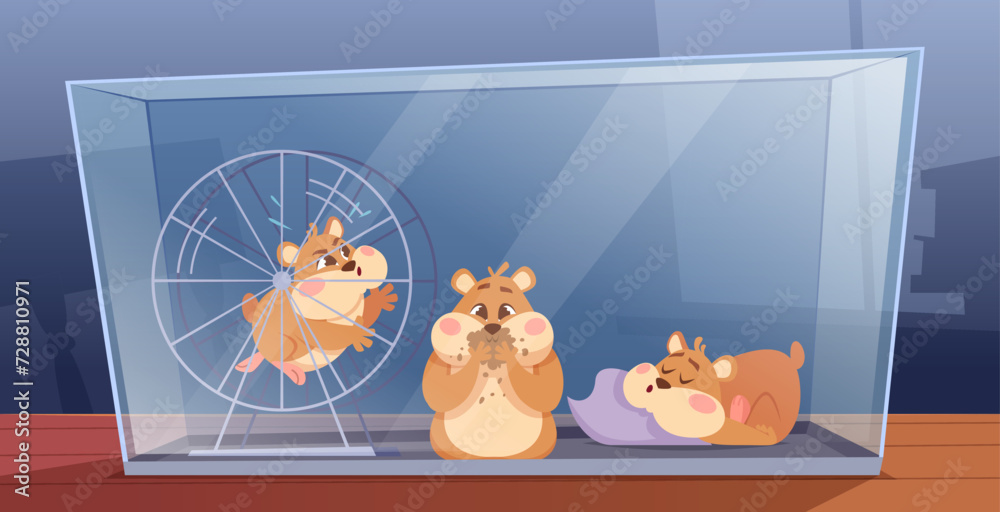 Domestic hamsters. Fluffy funny animals running in wheel playing eating ...