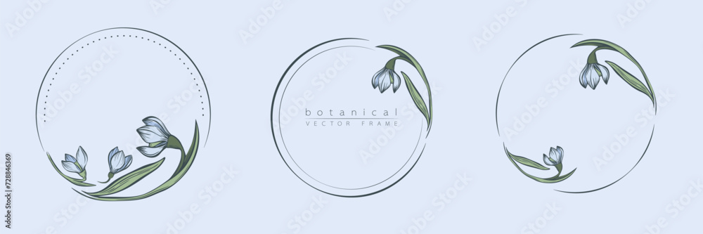 Botanical snowdrop flower circle frame set. Hand drawn round line ...