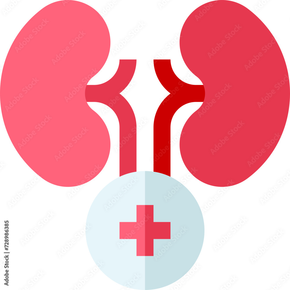 Kidney: Renal, Nephron, Urinary System, Filtration, Dialysis, Renal ...