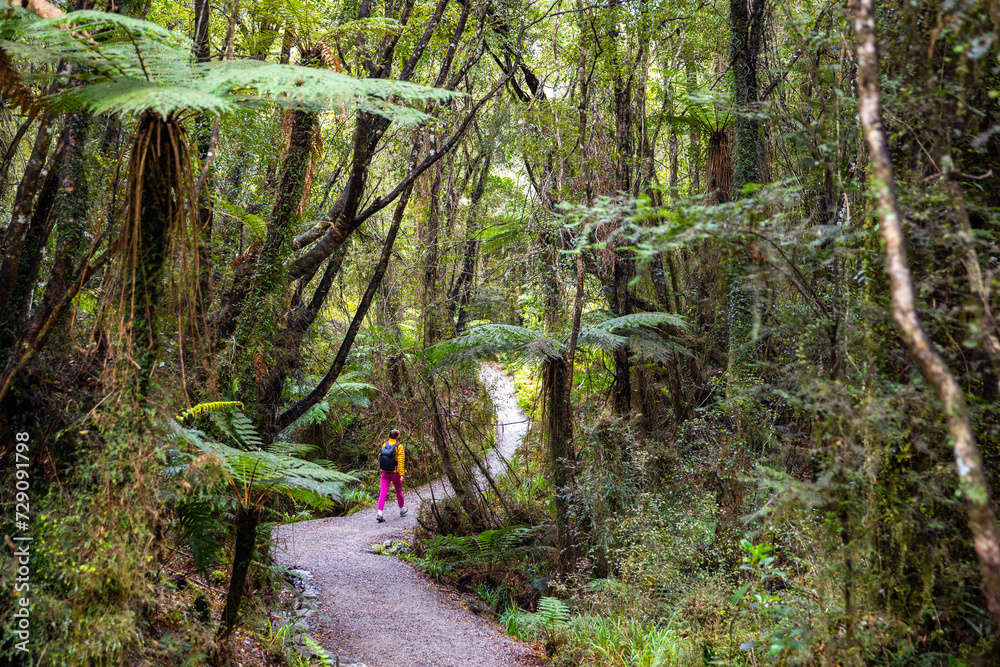hiker girl walking through unique temperate rainforest on the way to ...