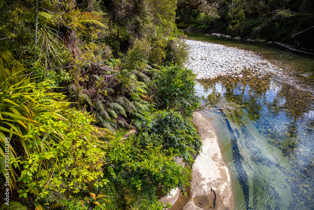 panorama of paparoa national park on west coast of new zealand south ...