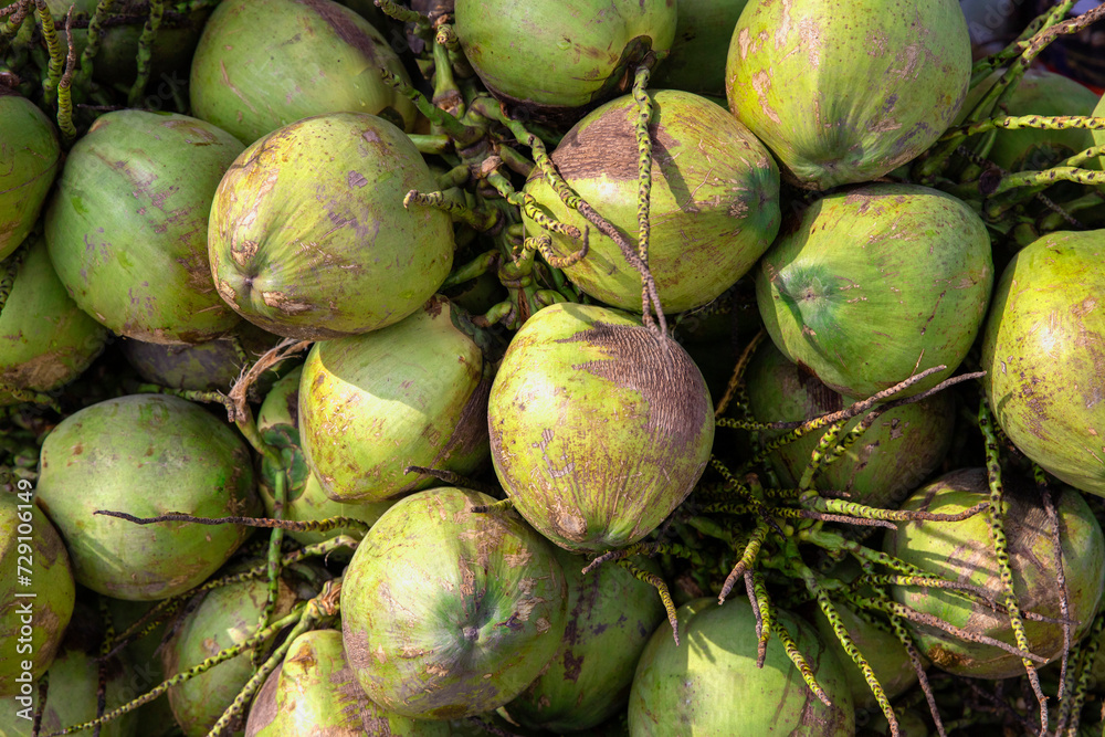 Pile of fresh young green coconut fruit (Cocos nucifera) is famous ...