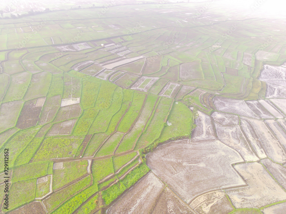 Picturesque landscape of abstract pattern of rice fields. Top view from ...
