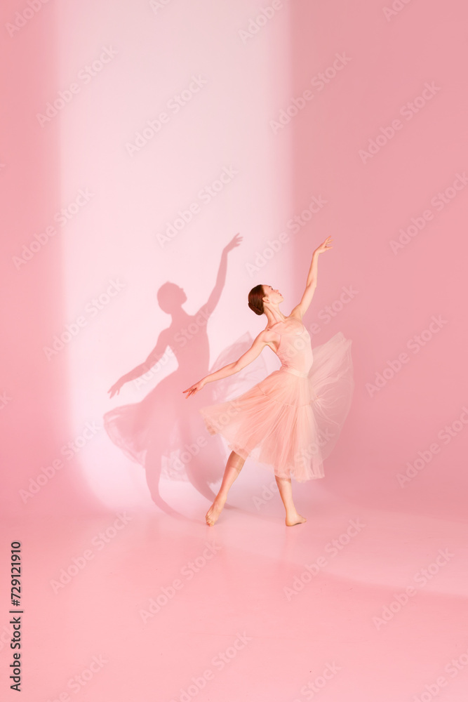 Elegant Pose. Ballerina in pink traditional ballet dress, tutu poses ...