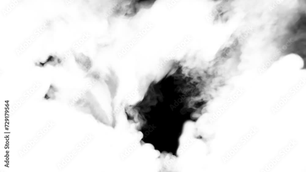 Smoke Transition from Black to White. Compilation of transition options ...