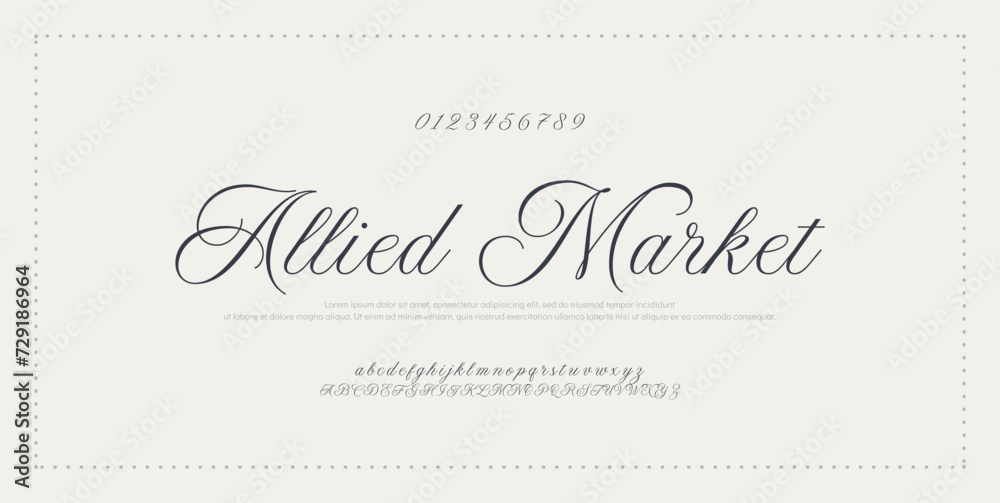 Allied Market Signature Font Calligraphy Logotype Script Brush Font ...