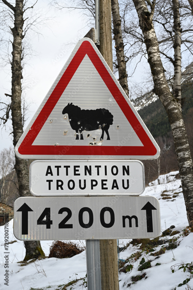 warning sign: beware of flocks with bullet marks Stock Photo | Adobe Stock