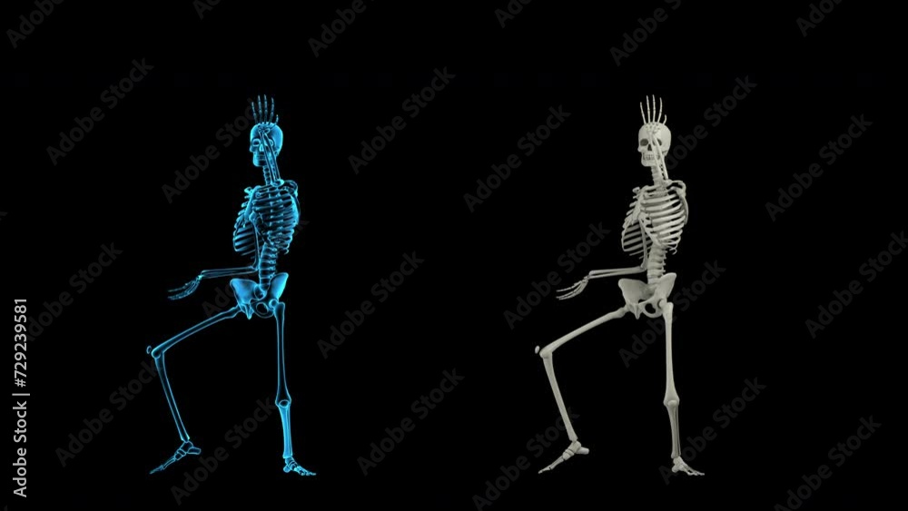 Skeleton dancing looping 3d animation with alpha channel and x-ray ...