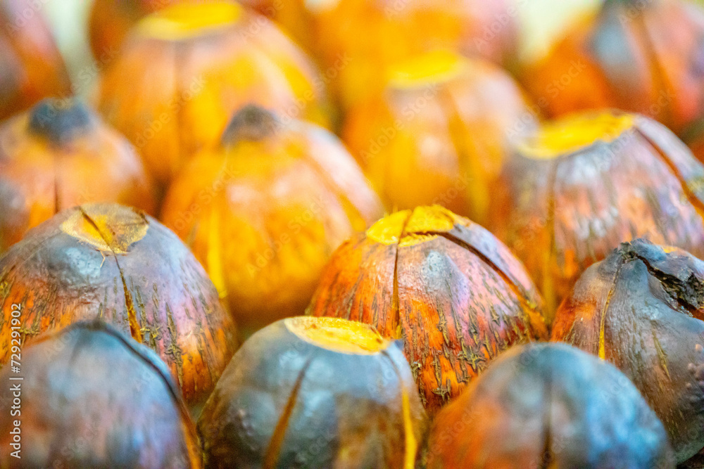Roasted fruit of the pupunha palm (Bactris gasipaes), typical fruit of ...