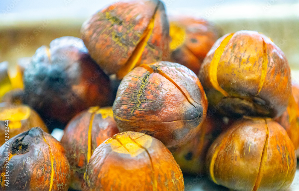 Roasted fruit of the pupunha palm (Bactris gasipaes), typical fruit of ...