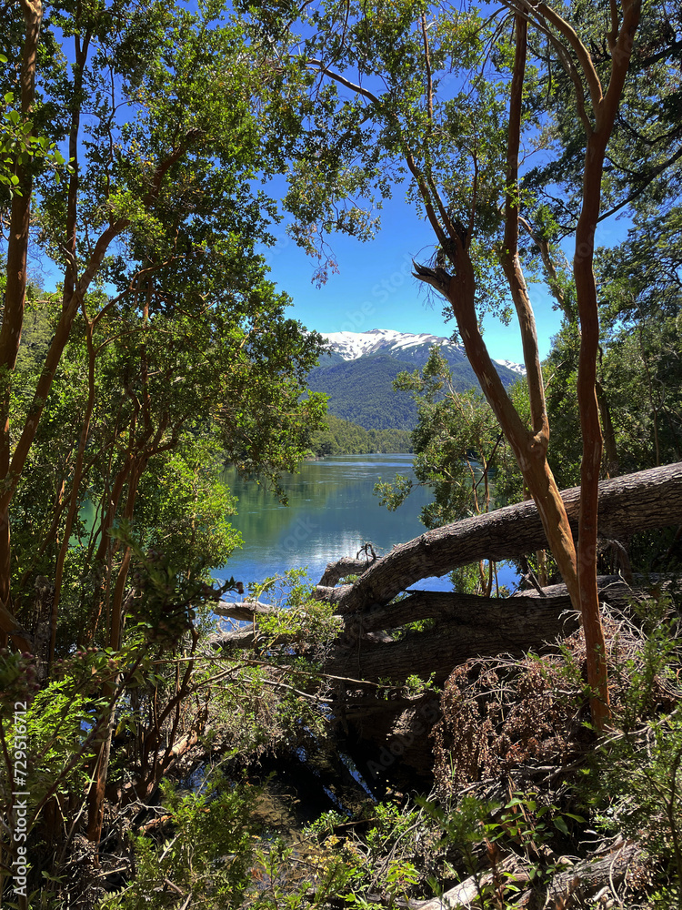 Rio Arrayanes por la Huella Andina, Parque Nacional Los Alerces, Chubut ...