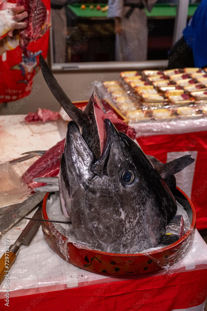 Bluefin Tuna head on display, Tuna display, Tokyo, Japan Stock Photo ...