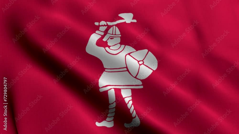 Fighting Man Banner of Harold Godwinson. Waving Fabric Satin Texture ...