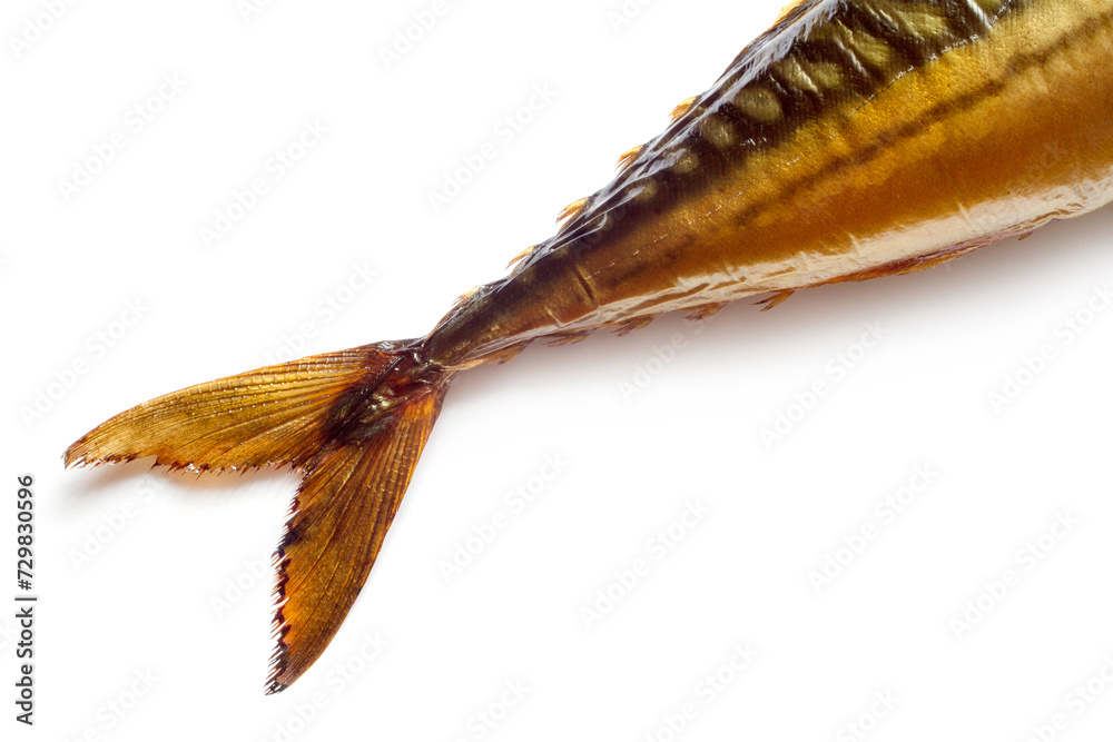 Tail of smoked mackerel fish close-up. Smoked mackerel fish on white ...