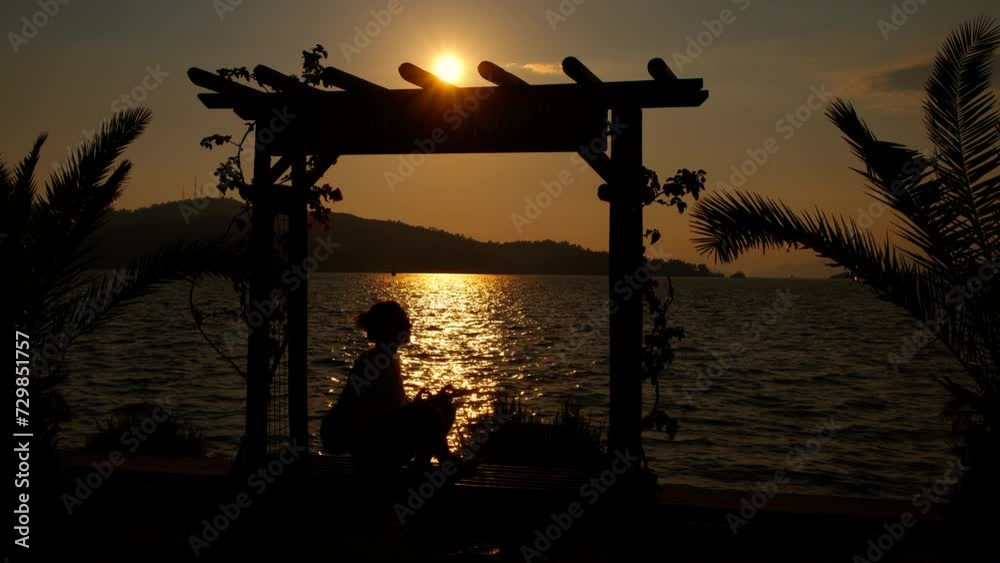 Female watching nightfall sky. A female silhouette admire the sunset ...