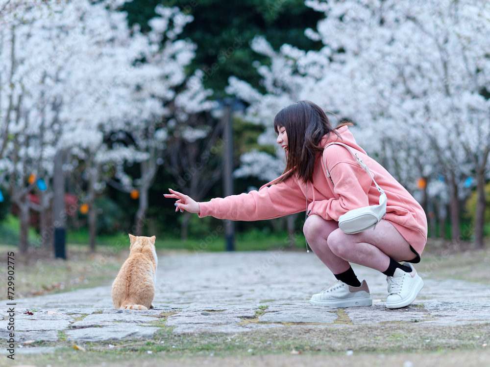 Beautiful young Chinese woman playing with homeless ginger tabby cat ...