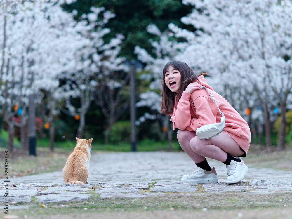 Beautiful young Chinese woman playing with homeless ginger tabby cat ...