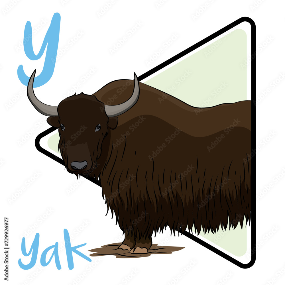 Yaks are animals that are native to Tibet and China. Yaks’ lung ...
