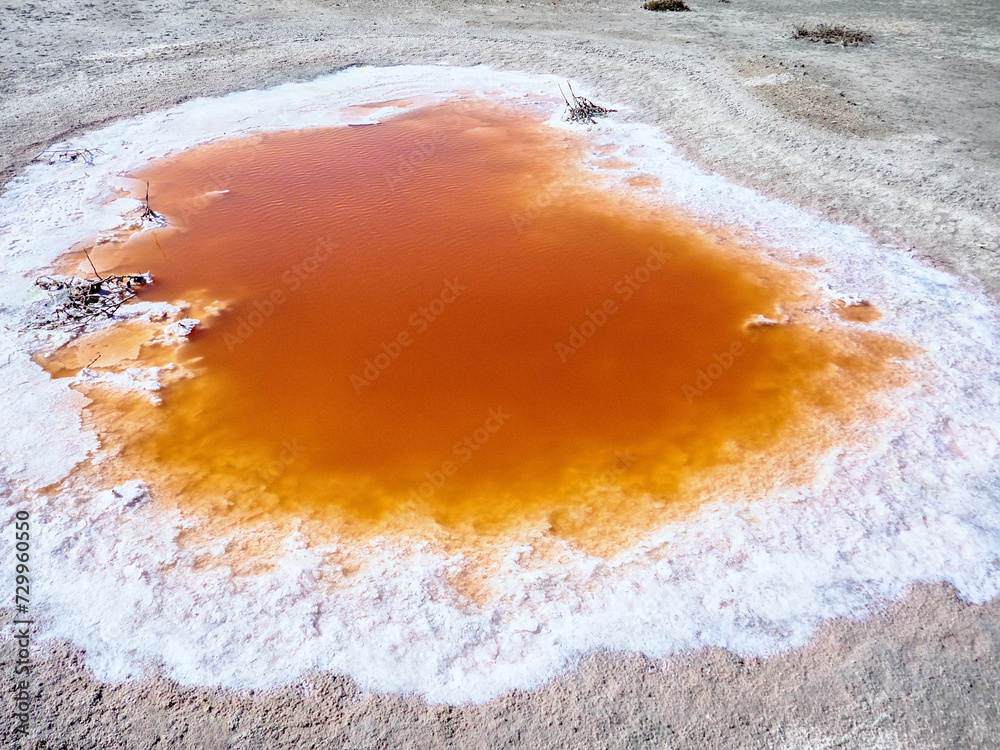 Subsidence funnels on salt marsh are filled with lakes of diverse ...
