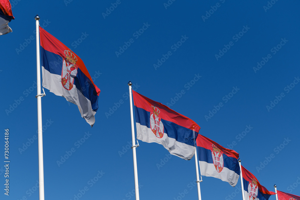 Serbian flags flutter in the wind against the blue sky on a sunny day ...