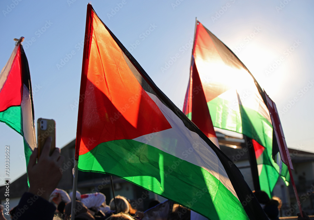 black white and green palestinian flags with red triangle in backlight ...