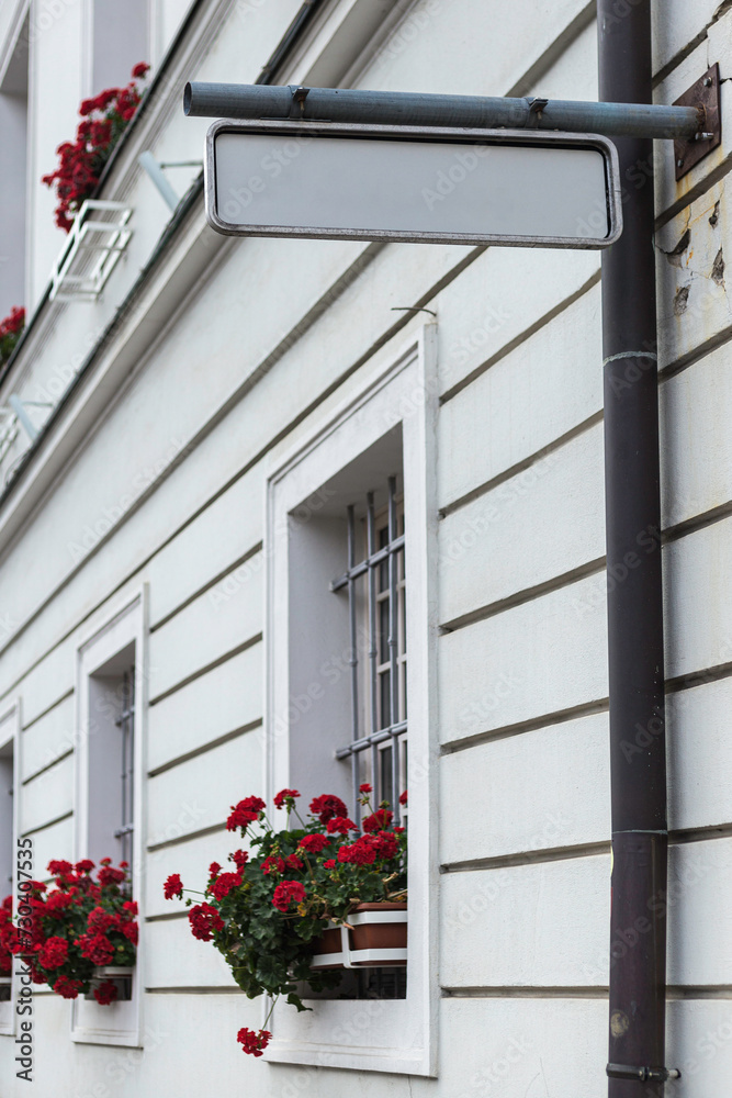 Windows with growing red roses in window boxes and a white wall. There ...