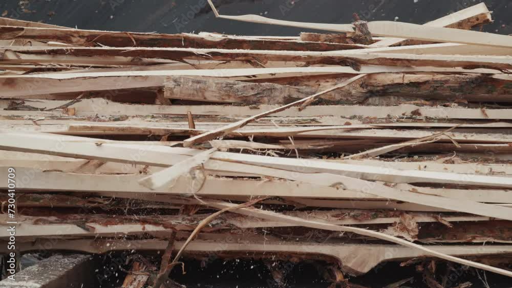 Huge amounts of sawed wooden scrap is collected in a pile. A Worker is ...