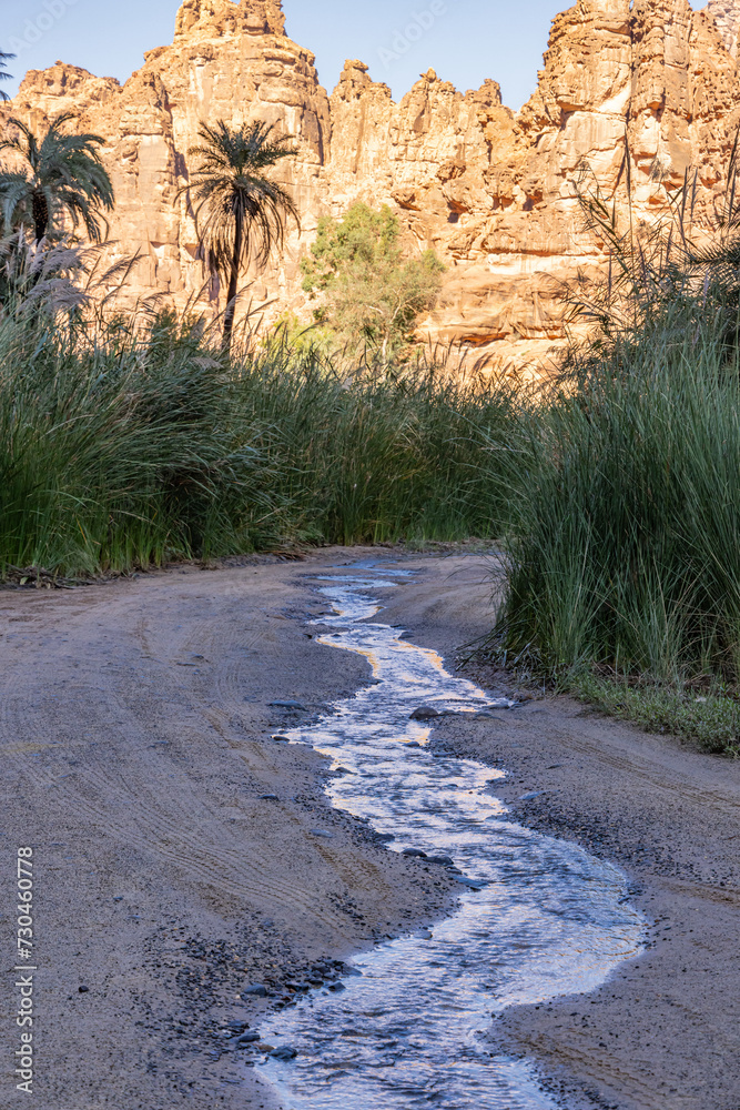 Wadi Al-Disha, known as the Grand Canyon of Saudi Arabia and the Valley ...