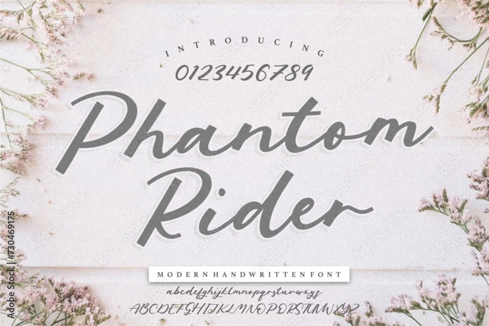 Hand drawn vector alphabet. Modern monoline signature script font ...